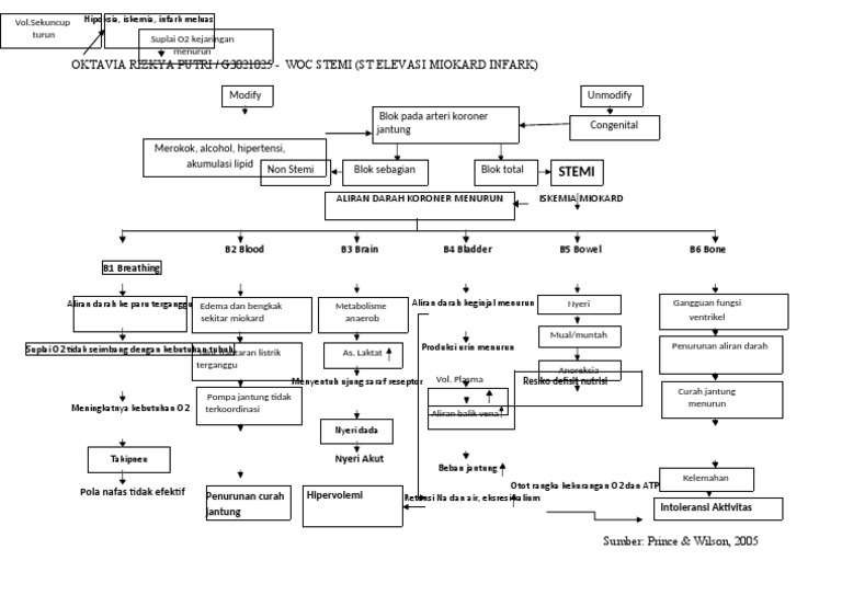 Woc Stemi Oktavia G3a021025 | PDF