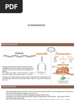 Transcription Notes Class 12 | PDF | Rna | Messenger Rna