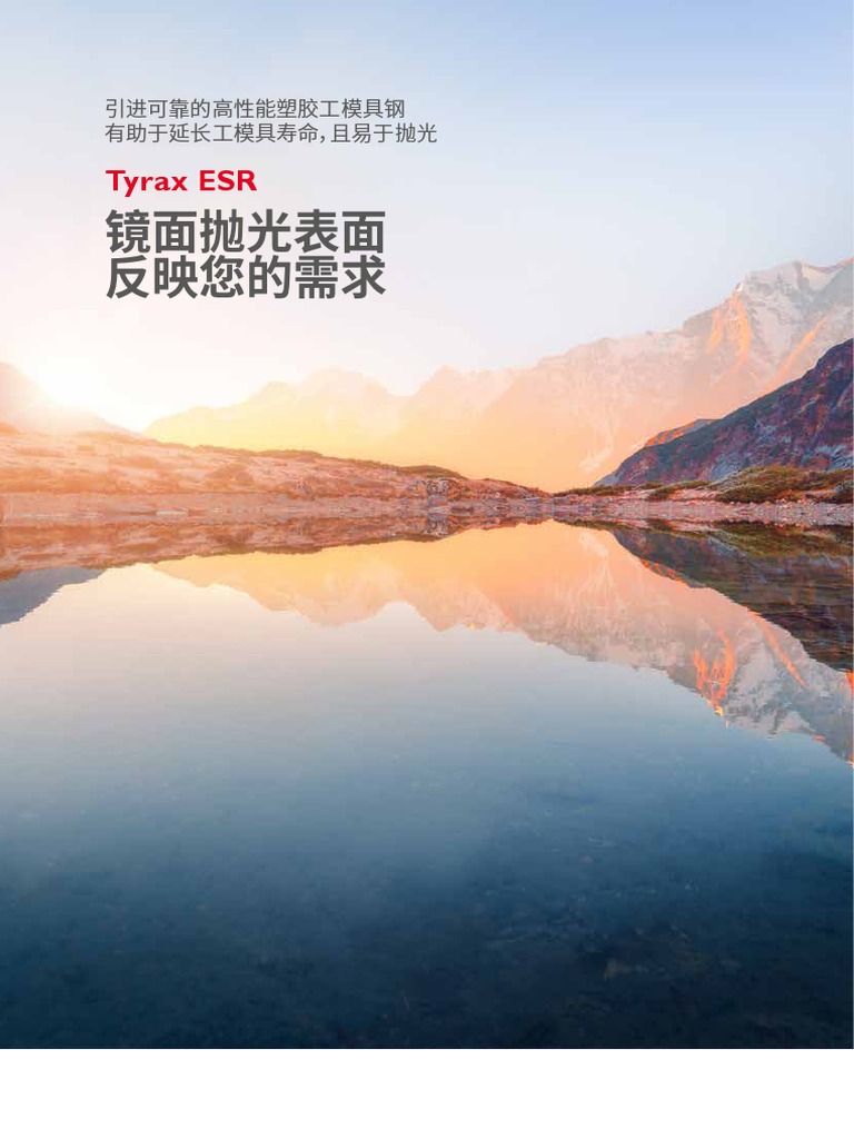 Tyrax-ESR Sales Brochure SC | PDF