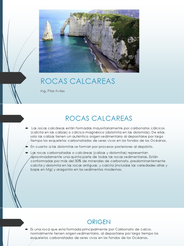 Características de las Rocas Calcáreas | PDF | Caliza | Calcita