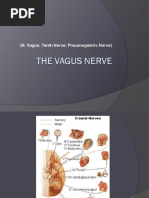 Netter - Atlas of Human Anatomy | PDF | Abdomen | Pelvis