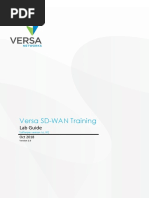 Versa Sd-Wan Lab | PDF | Computer Network | Sudo