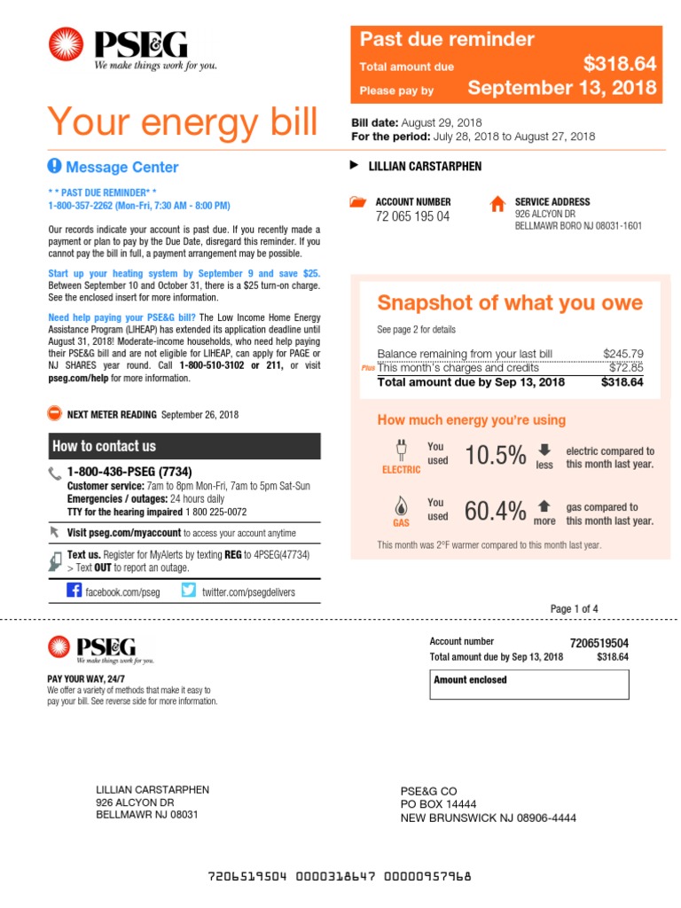 Your Energy Bill: Snapshot of What You Owe | PDF | Watt | Gases