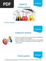 Factor de Efectividad y Módulo de Thiele Reacciones Heterogéneas 13 - 2 ...