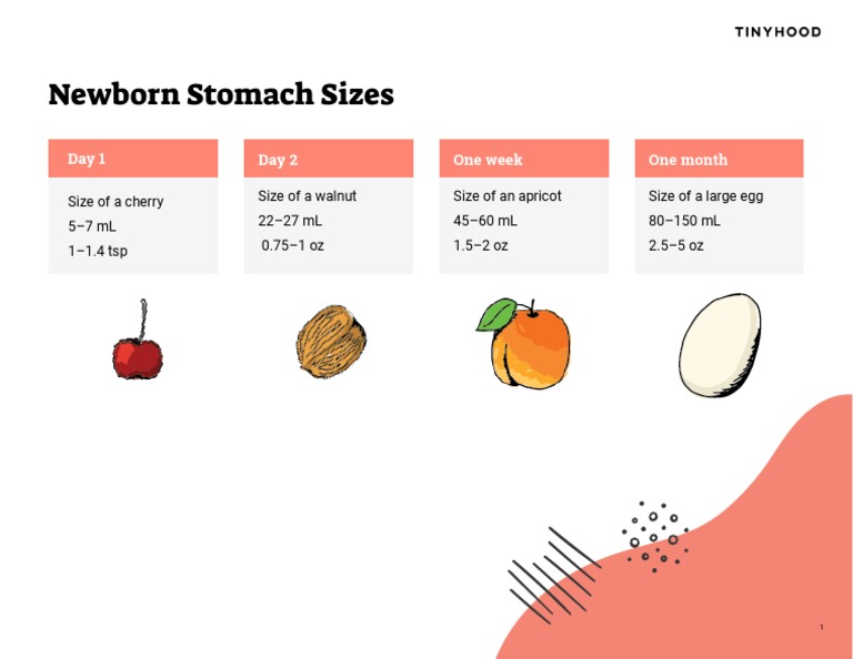 Newborn Stomach Sizes | PDF | Cooking, Food & Wine