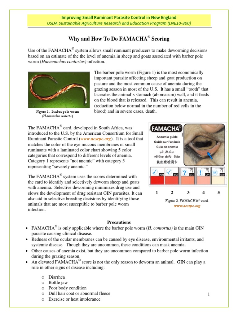 Why and How To Do FAMACHA Scoring: USDA Sustainable Agriculture ...