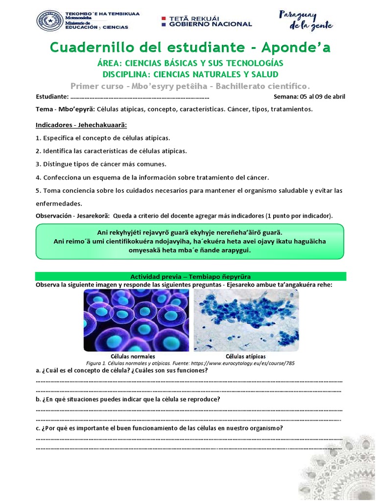 1ciencias 1ºC. Células Atípicas - Estudiantes | PDF | Cáncer | Neoplasias
