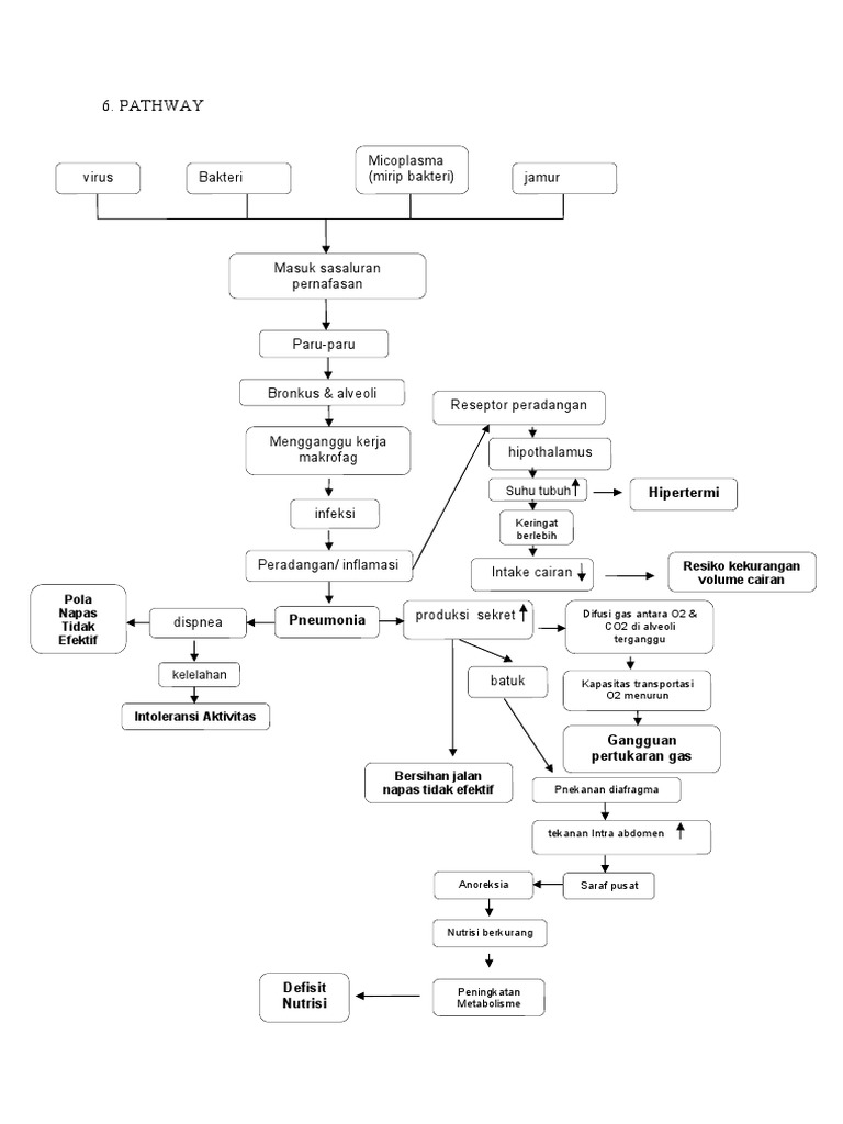 Pathway Pneumonia dan Bronkopneumonia | PDF