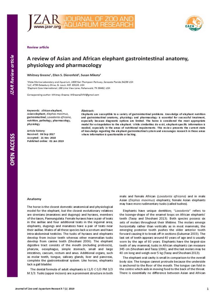 Elephants Digestive System | PDF | Gastrointestinal Tract | Digestion