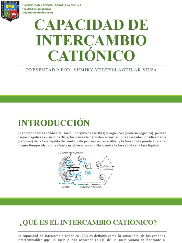Cap-7-Capacidad de Intercambio Catiónico | PDF | Ácido clorhídrico | Química