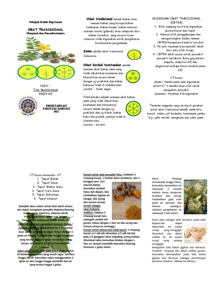Leaflet Obat Tradisional Edit | PDF