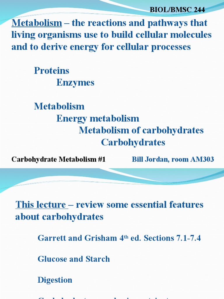 Carbohydrate Metabolism L1 - Handout | PDF | Biochemistry | Carbohydrates