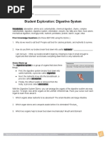 Digestive System GIZMO | PDF | Digestion | Small Intestine