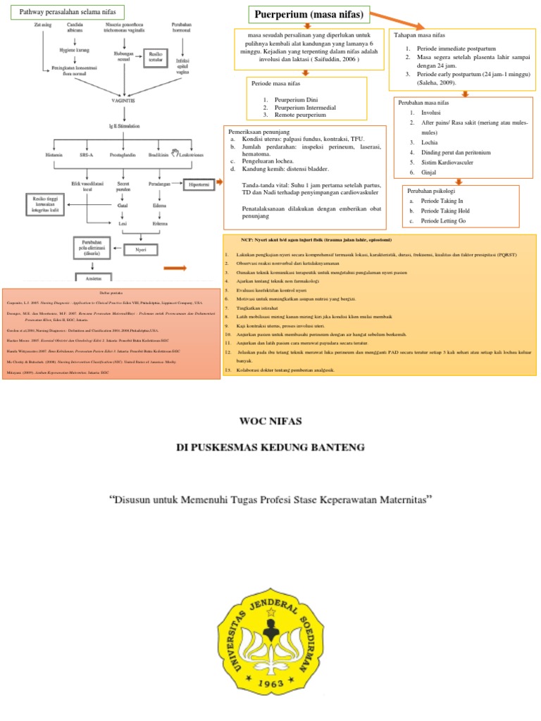 Pathway Nifas | PDF