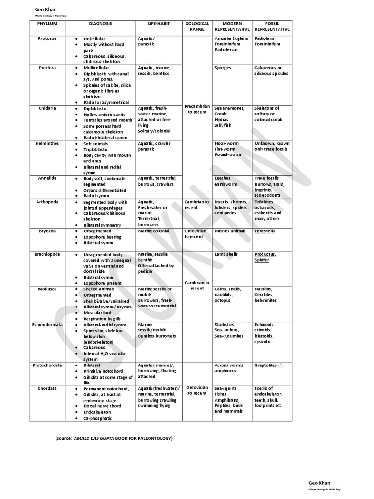 Animal Kingdom Classfication Table | Download Free PDF | Organisms ...