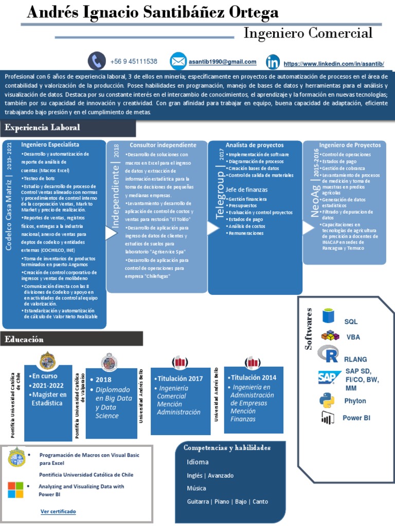 Cvitae Andrés Santibáñez AMSA | PDF | Automatización | Microsoft Excel
