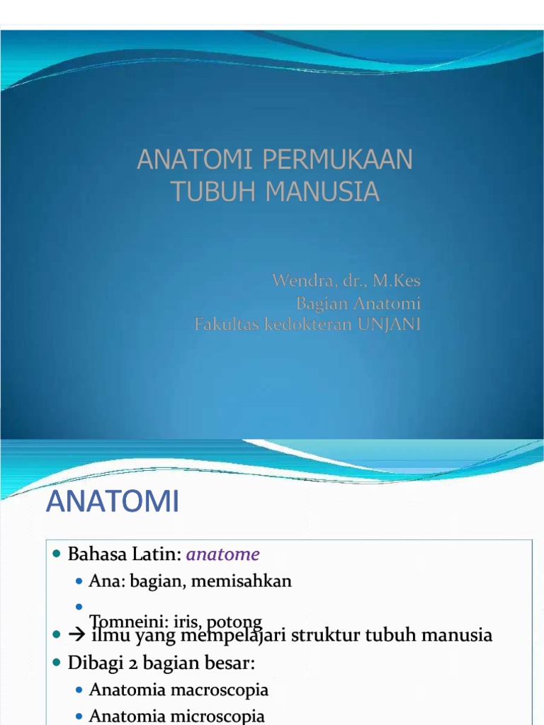 Garis Imajiner dan Regio Tubuh Manusia | PDF
