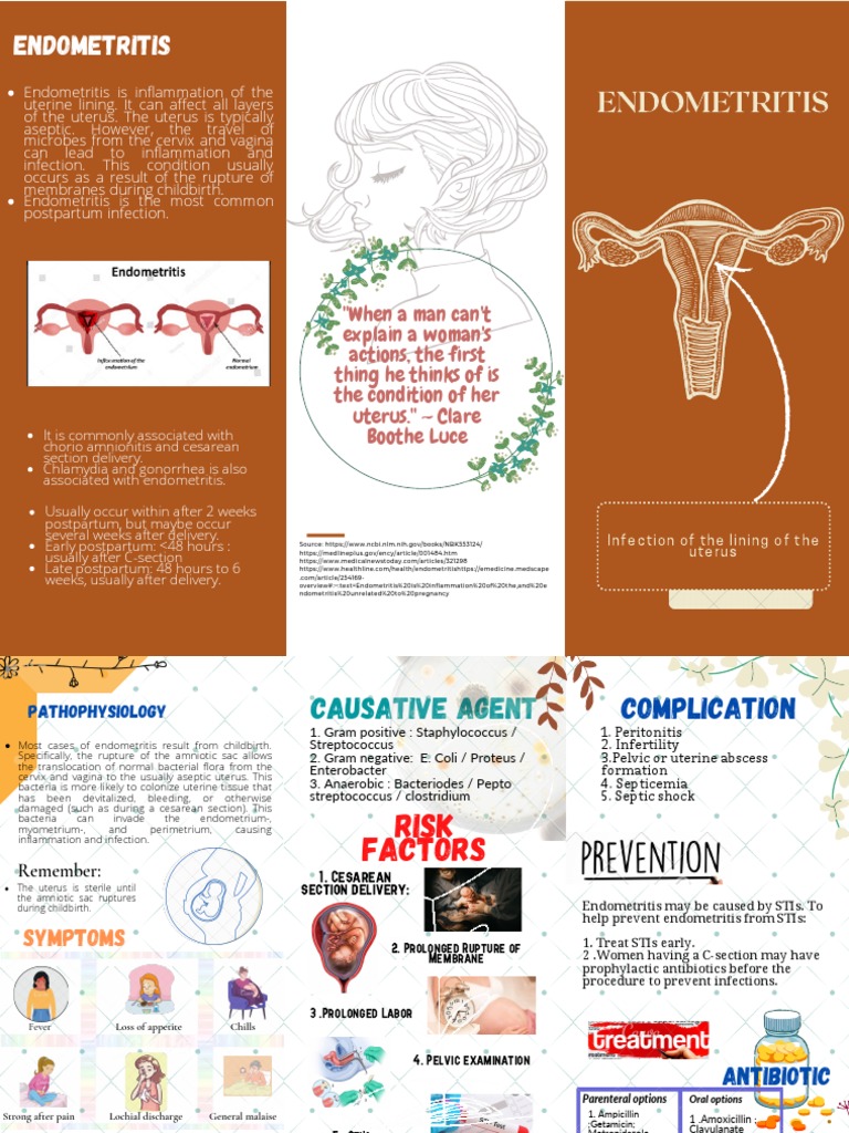 Endometritis Brochure | PDF | Childbirth | Human Reproduction