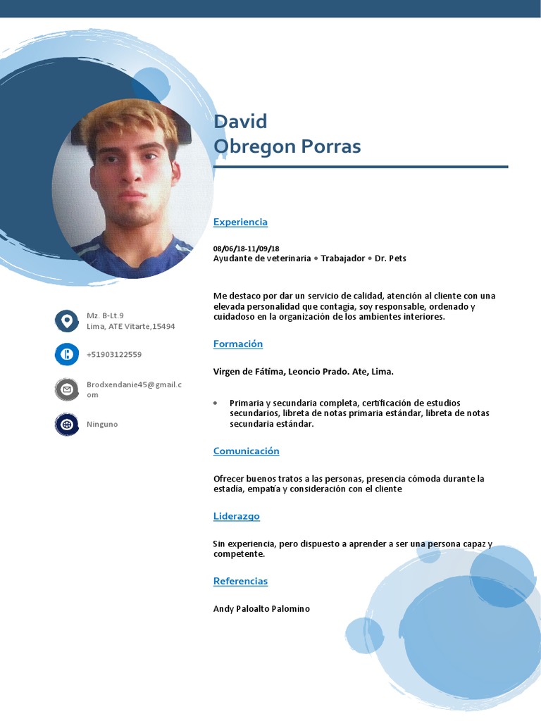 David CV 2022 | PDF