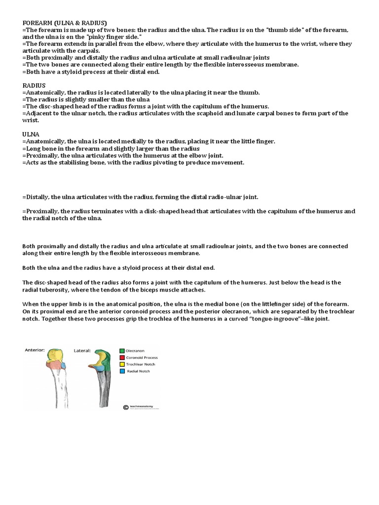 FOREARM | PDF | Foreign Language Studies