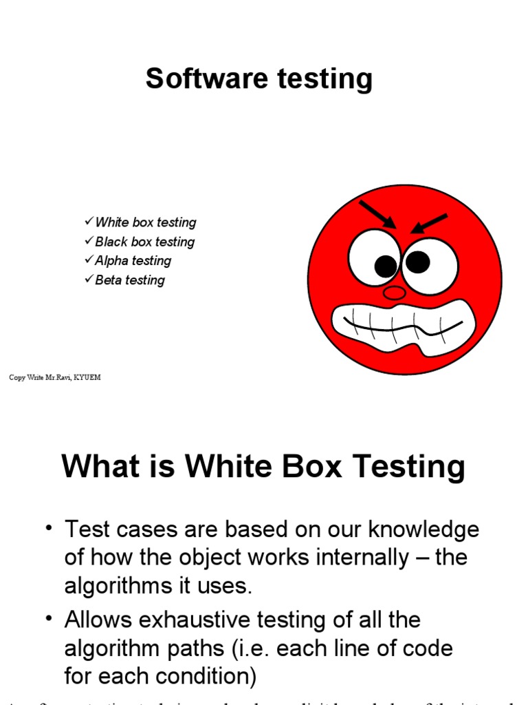 White BOX | PDF | Mathematical Concepts | Software Release Life Cycle