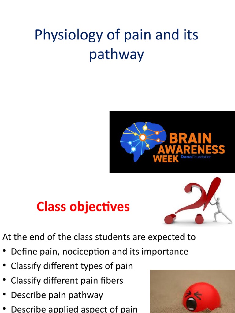 Physiology of Pain and Pathway 2018 | PDF | Pain | Stimulus (Physiology)