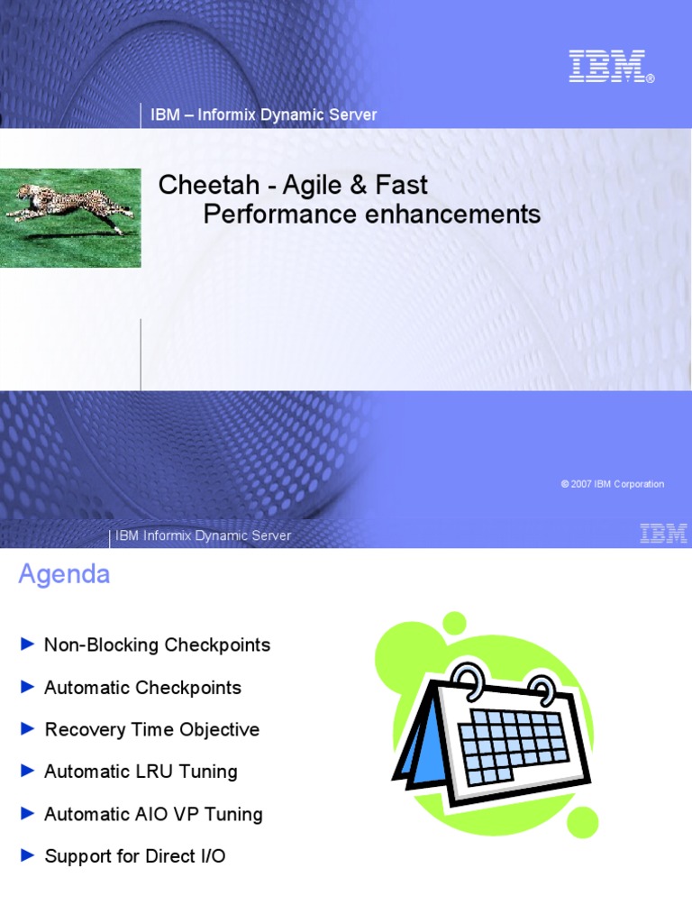 Cheetah - Agile & Fast Performance Enhancements: IBM - Informix Dynamic Server | PDF | Cache ...
