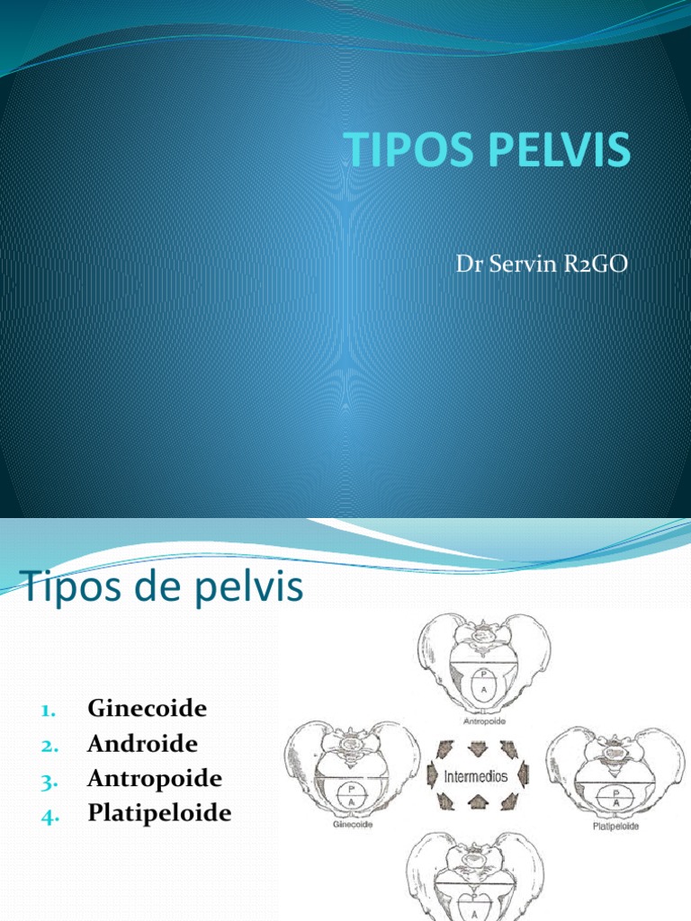 Clasificación de Tipos de Pelvis | PDF | Ciencia y matemáticas
