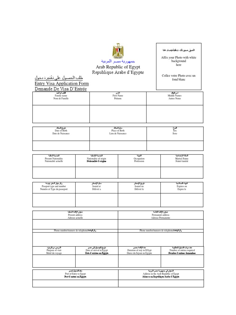 Egypt Visa Application Form 15-10-21 | PDF