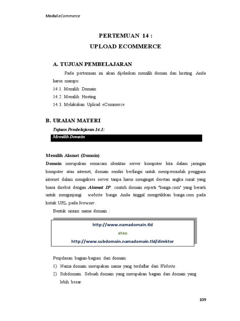 Pertemuan 14 Ecommerce | PDF | Komputer
