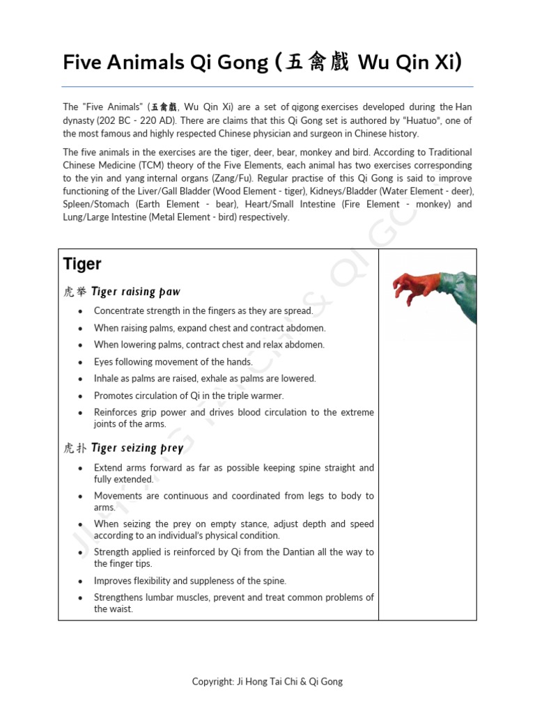 Five Animals Qi Gong (五禽戲 Wu Qin Xi) : Tiger | PDF | Traditional ...