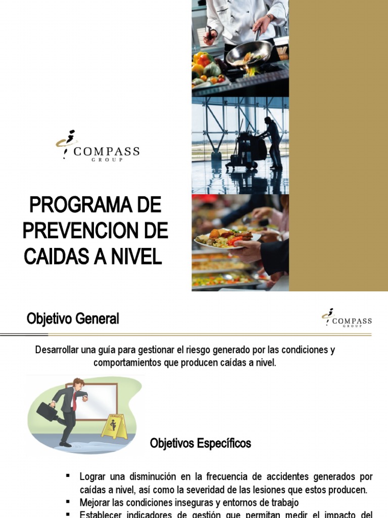 Capacitacion Programa De Prevencion A Caidas A Nivel Pdf