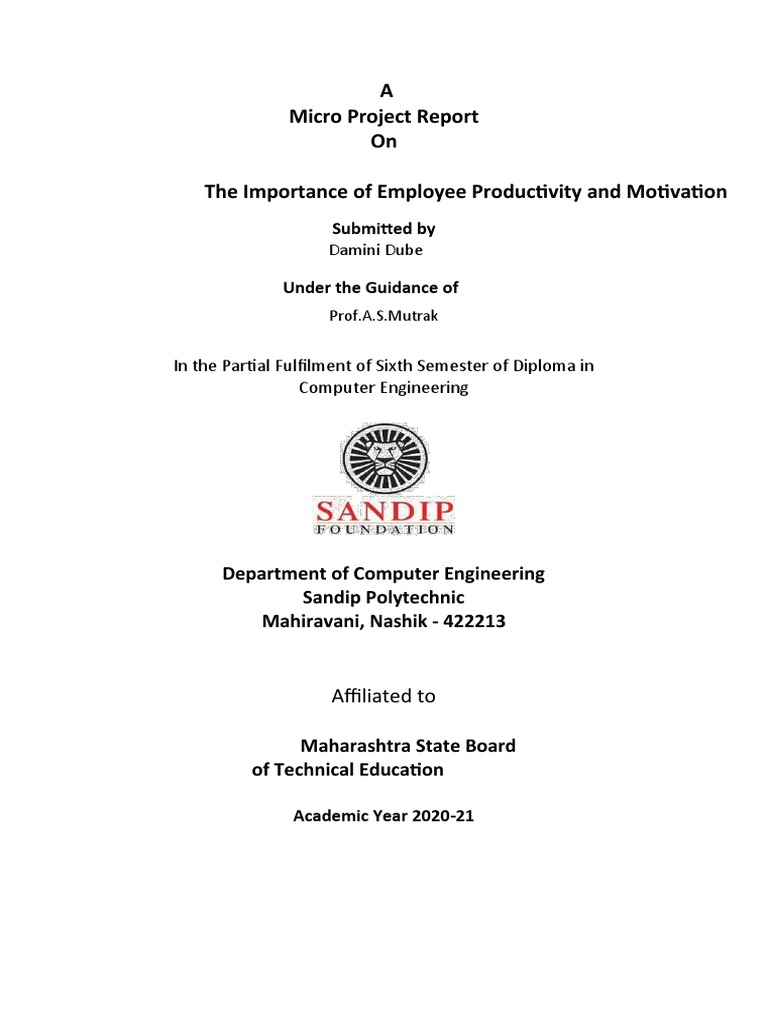 A Micro Project Report On The Importance of Employee Productivity and ...