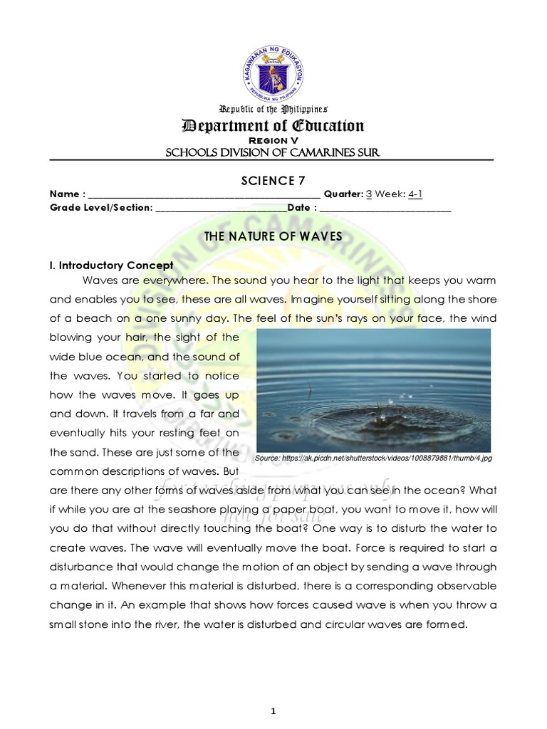 Understanding Waves and Energy Transfer | PDF | Waves | Motion (Physics)