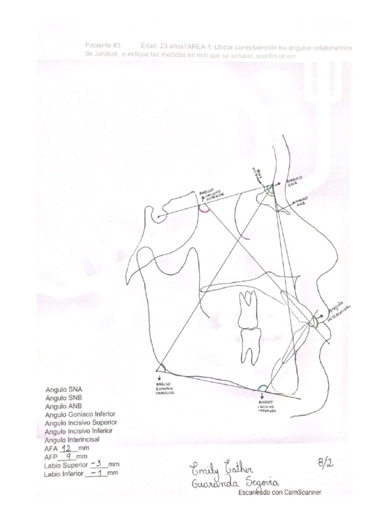 Lip Bumper | PDF | Ramas de Odontología | Boca