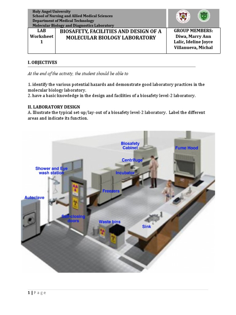 Biosafety Level 2 Lab Design Overview | PDF | Laboratories | Safety
