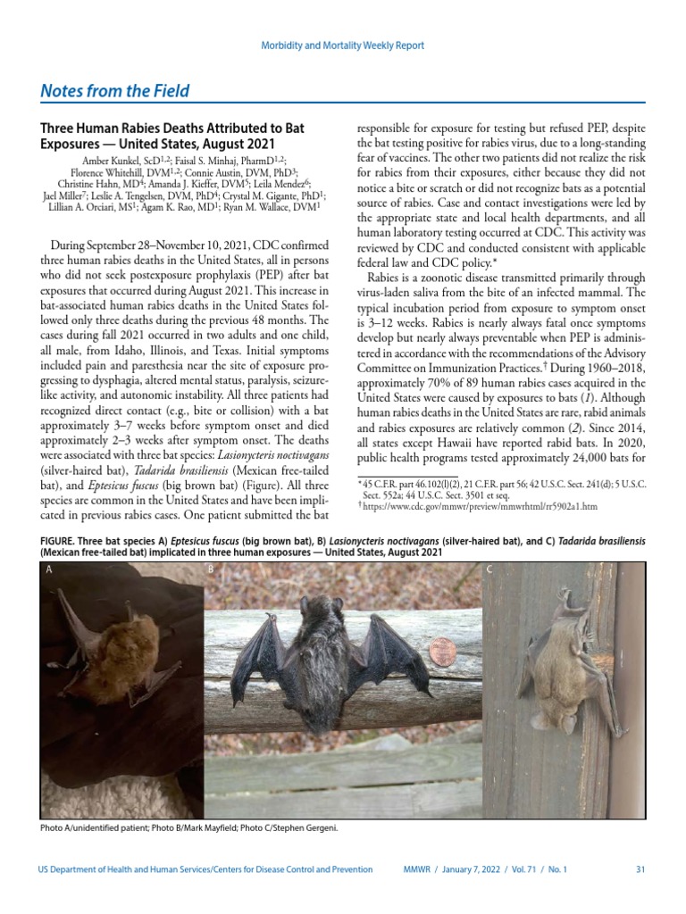 CDC Report | Download Free PDF | Rabies | Centers For Disease Control ...