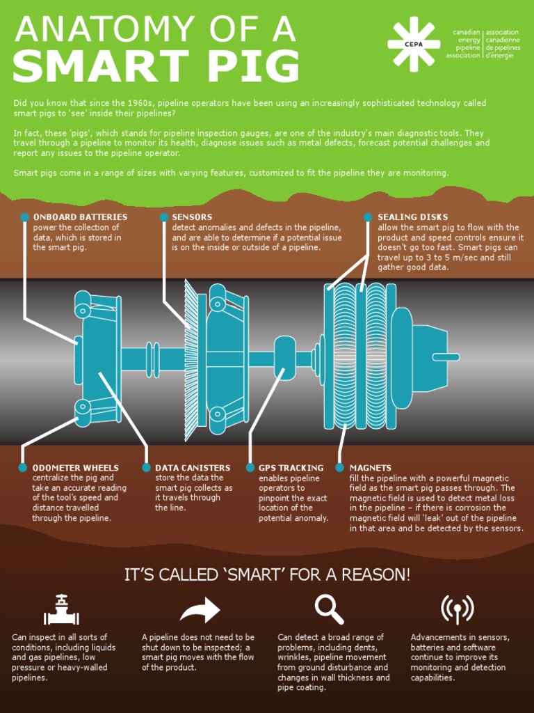 Smart Pig: It'S Called Smart' For A Reason! | PDF | Pipeline Transport ...