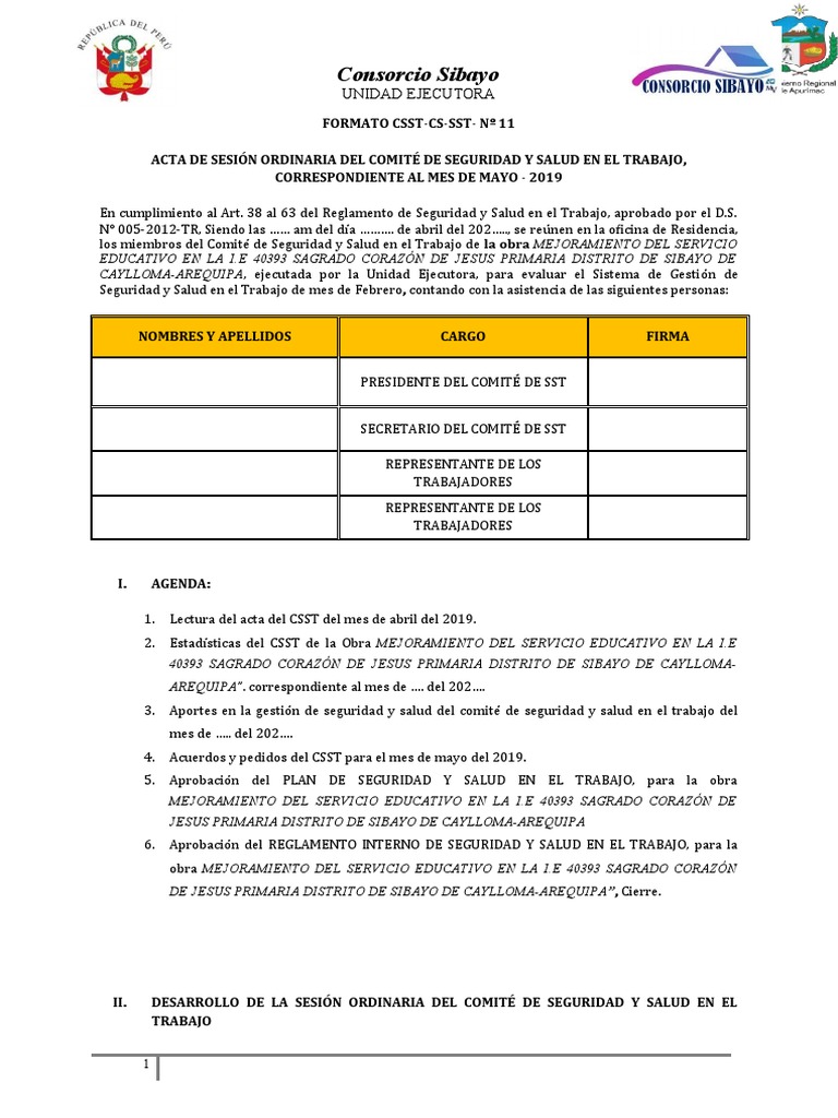 Formato CSST-CS-SST - #11 | PDF