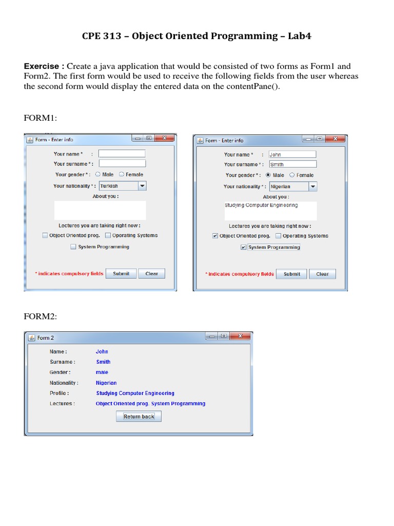 CPE 313 - Object Oriented Programming - Lab4: Exercise | PDF | Computers