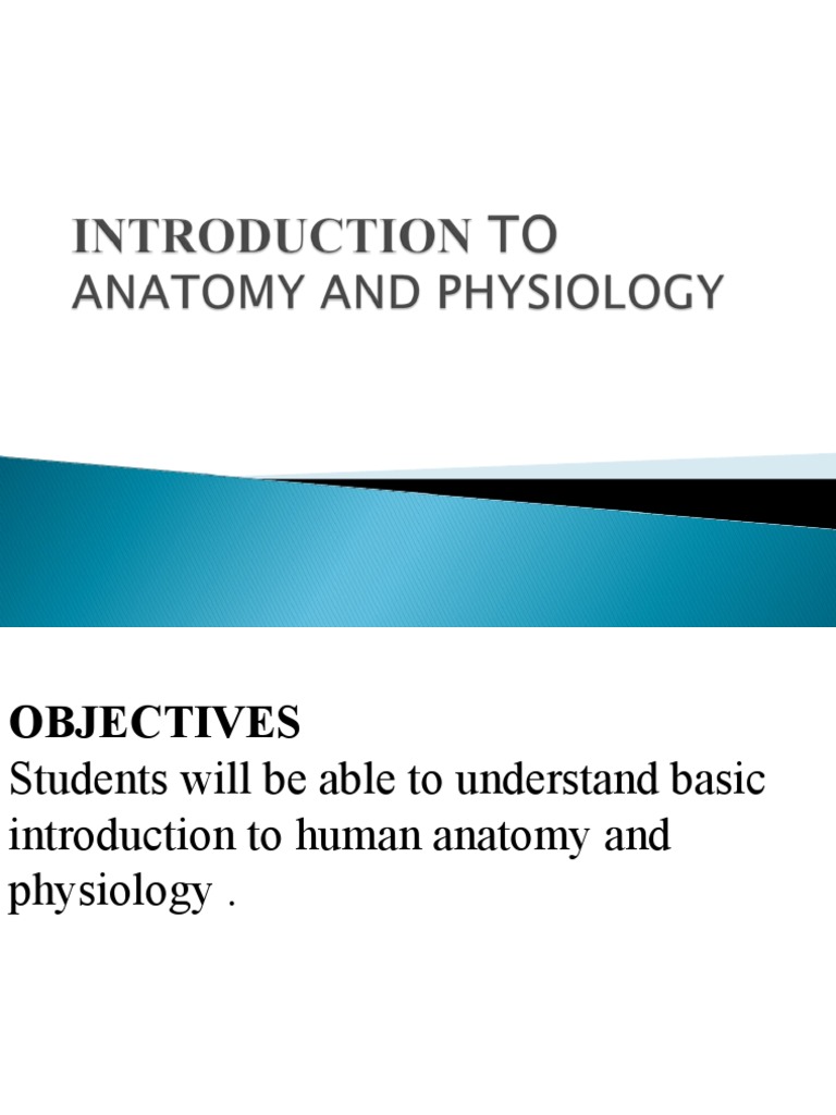 Introduction of Anatomy | PDF | Human Body | Anatomy