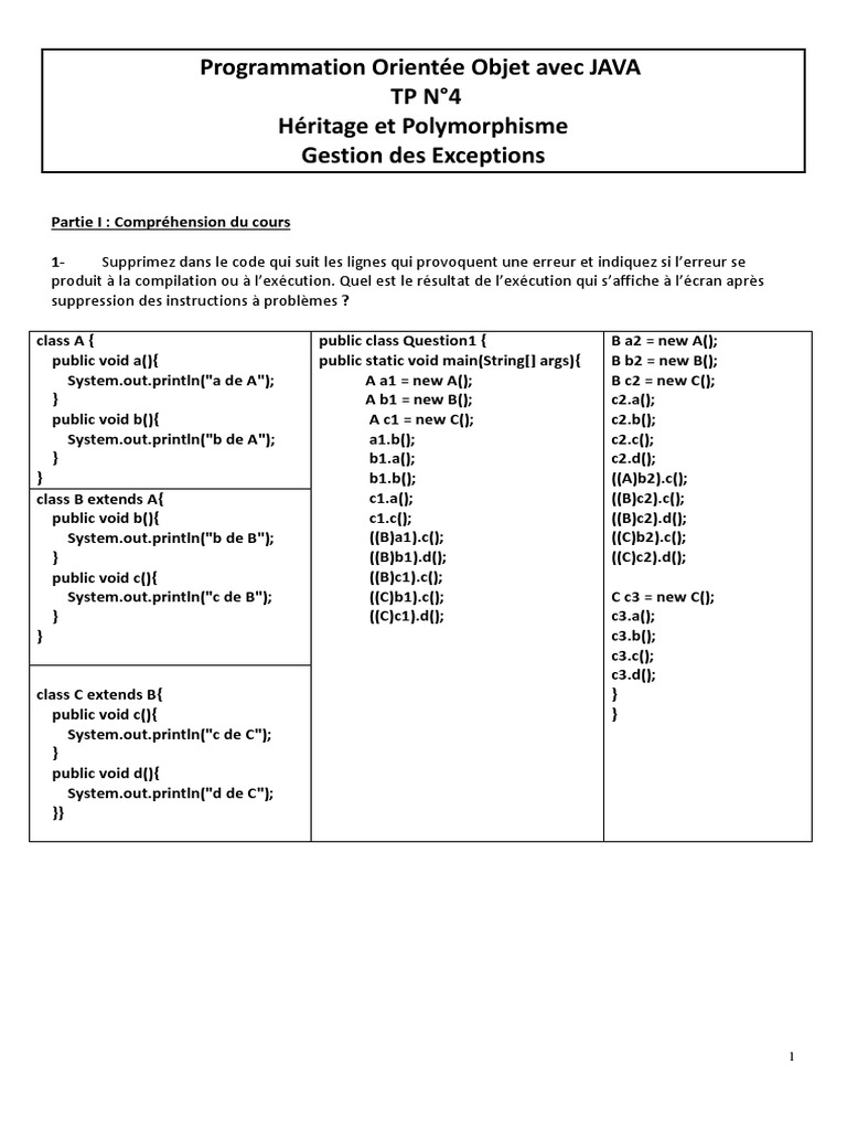 TP4 Heritage Interfaces Exceptions | PDF | Perroquet | Programmation informatique