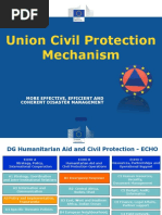 DG Echo Protection Mainstreaming Indicator Technical Guidance FINAL ...