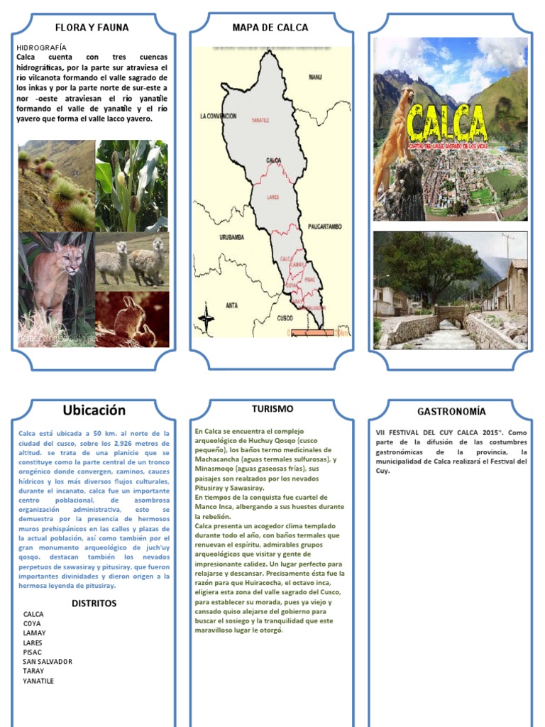 CALCA | PDF