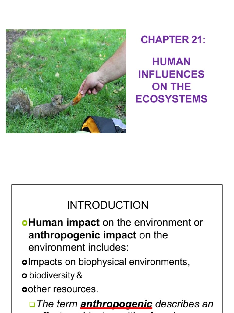 Topic 21 Human Influences On Ecosystem | PDF | Agriculture | Ozone ...