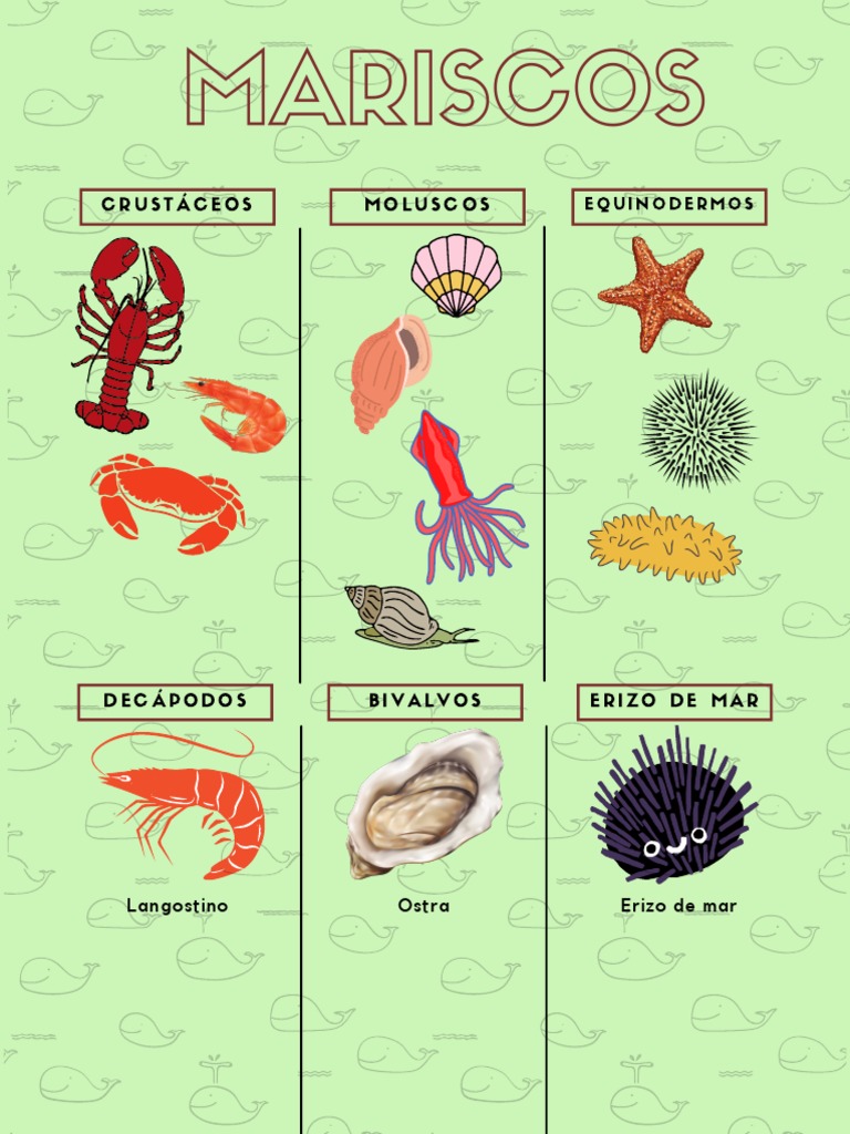 Clasificación de Los Mariscos | PDF | Alimentos | Cocina