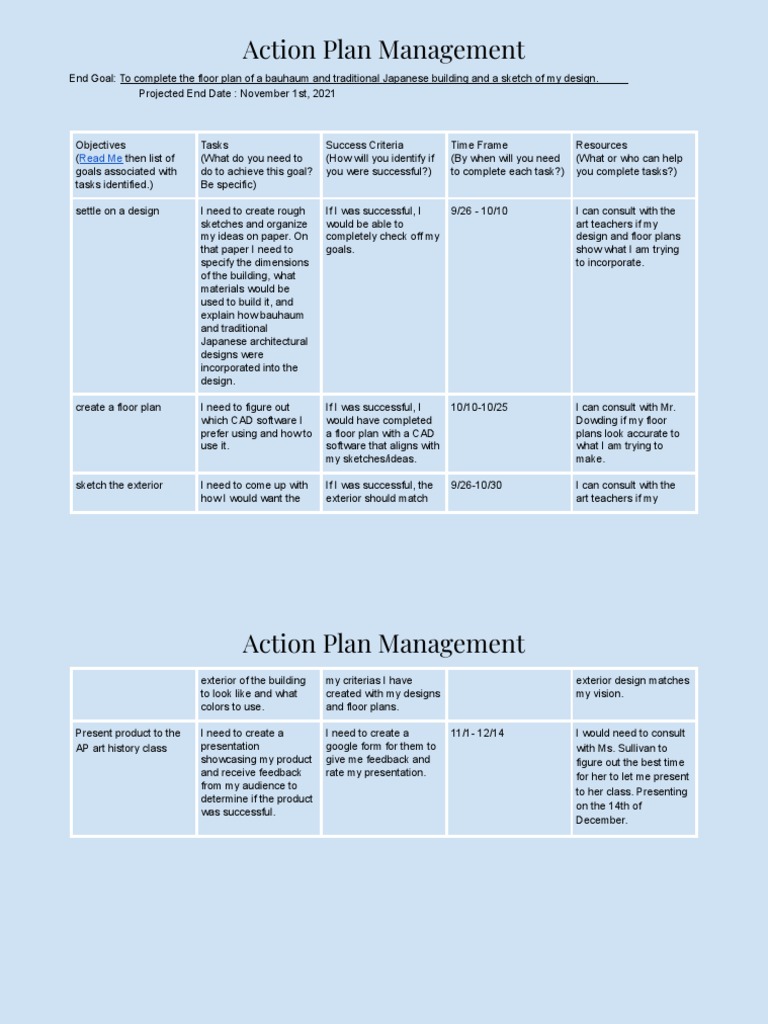 Action Plan Task Chart | PDF | Goal | Cognition