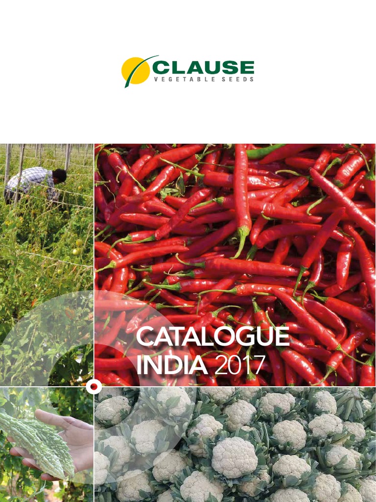 CATALOGUE India Products 2018 | PDF | Agriculture | Food Ingredients