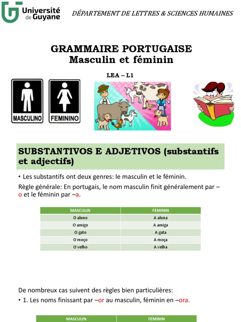 GRAMMAIRE PORTUGAISE - Masculin Et Feminin | PDF | Genre grammatical ...
