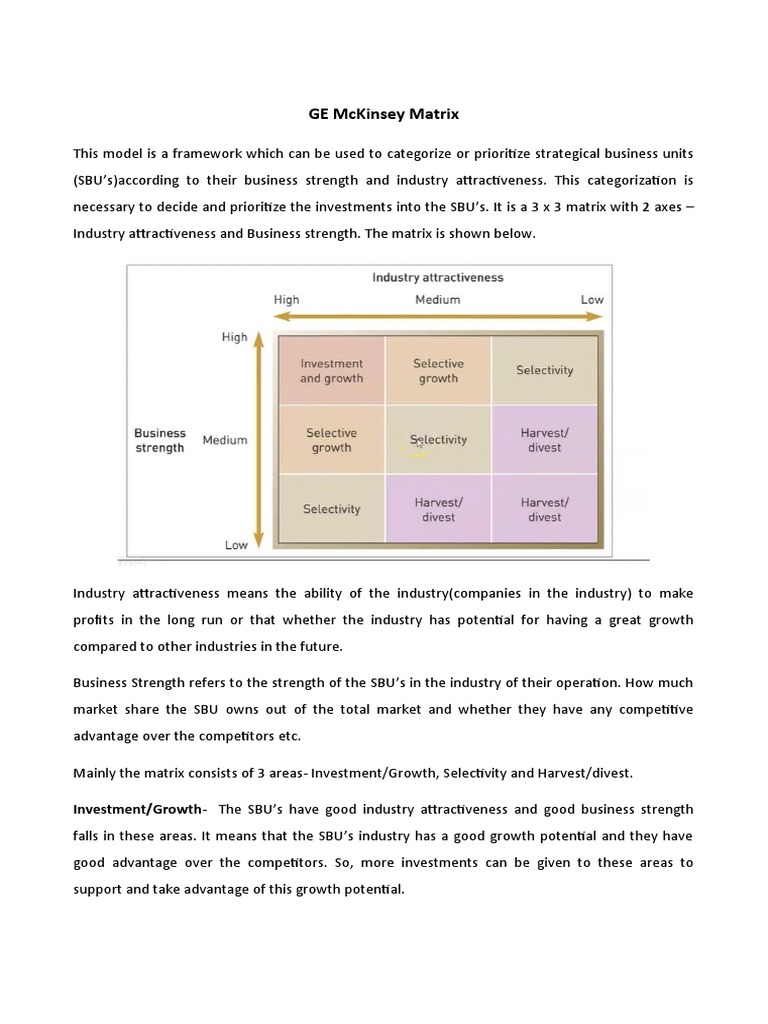Mckinsey Matrix | PDF | Competitive Advantage | Car
